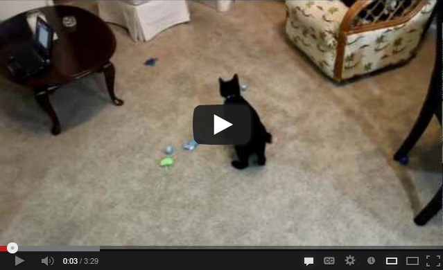 Project: Motion Tracking Cat Toy - Motors, Mechanics, Power and CNC - Arduino Forum